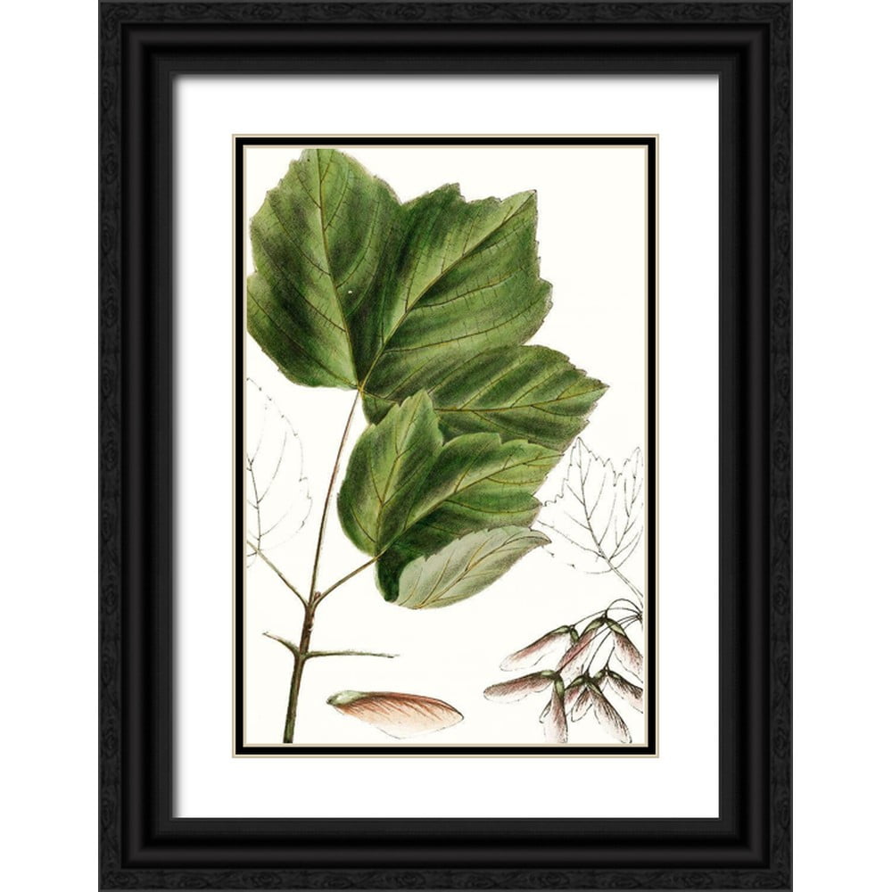 Nuttall, Thomas 11x14 Black Ornate Wood Framed with Double Matting ...