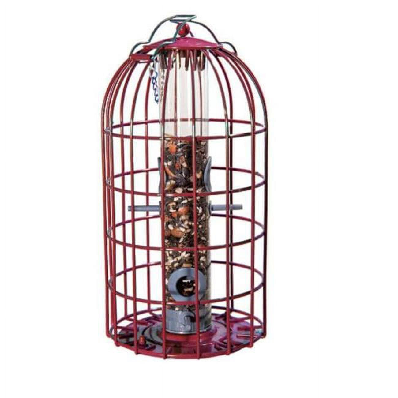 Nuttery Bird Proof Outdoor Original Squirrel Resistant Seed Feeder, 13. ...