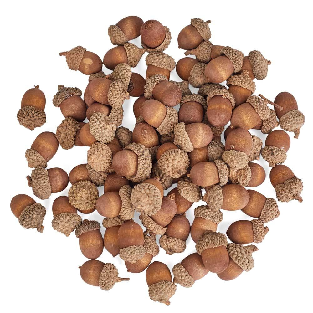 Nutty-Brown Artificial Acorns with Natural Acorn Caps - Walmart.com