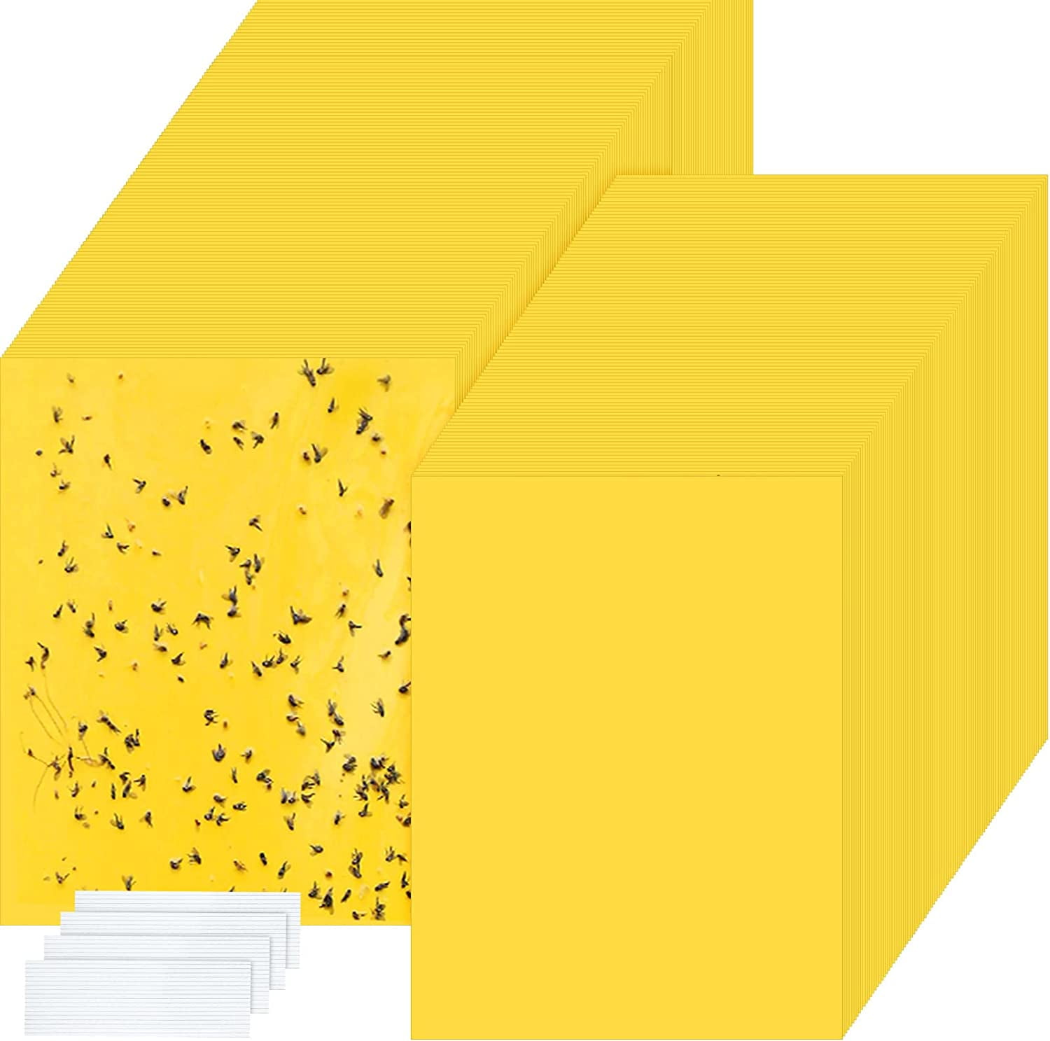 Nvzi 100 Pcs Double Sided Sticky Traps for Flying Plant Insect Like ...