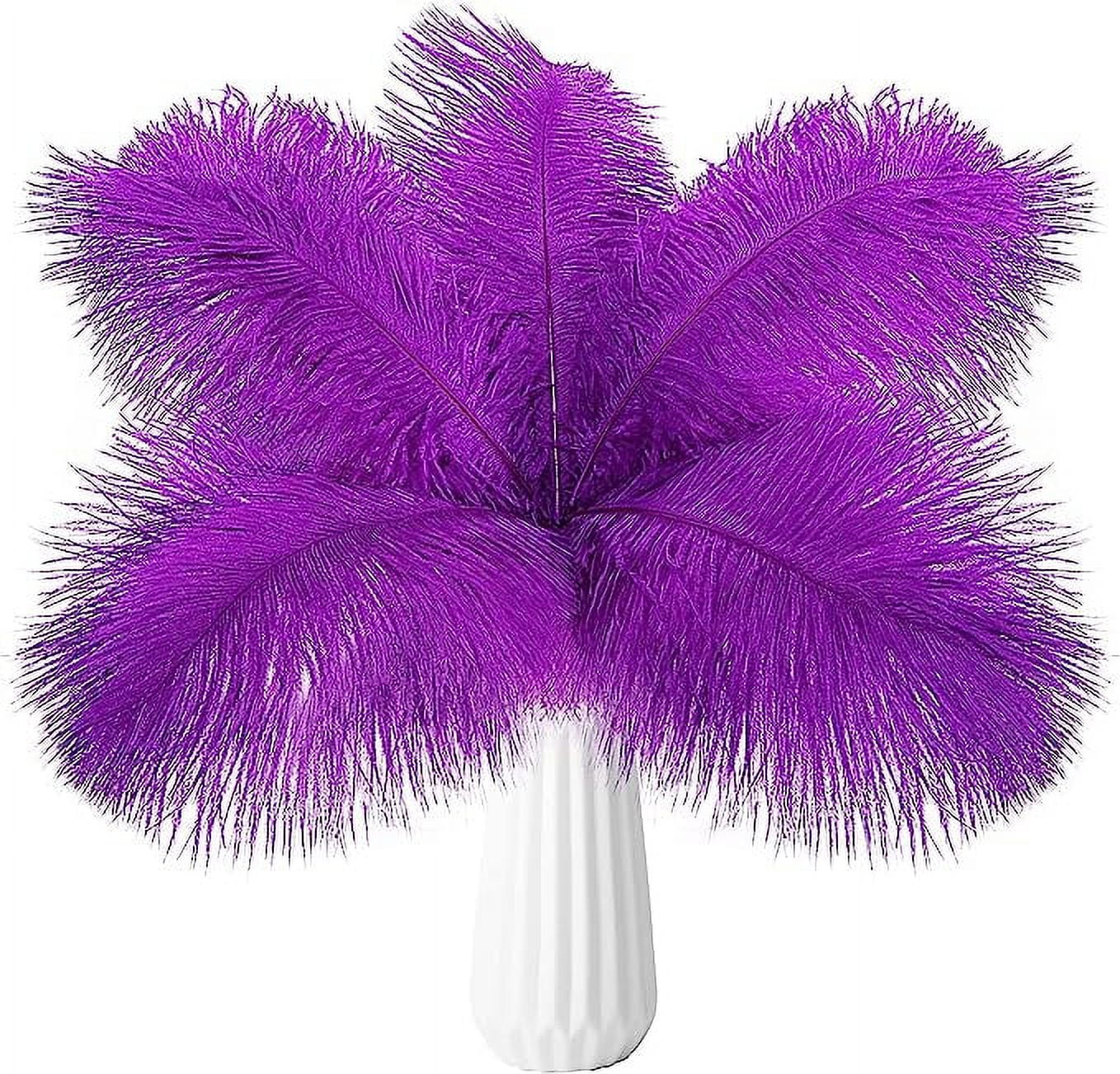 Nvzi 24pcs Purple Ostrich Feathers Natural Bulk 10-12Inch 25cm-30cm for ...