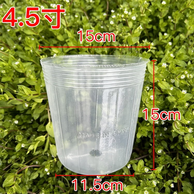 Nvzi 40 piece transparent plastic pot, butterfly orchid special ...