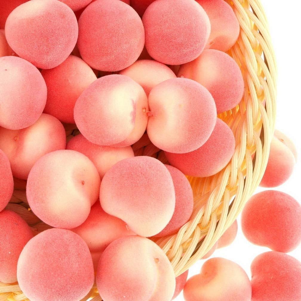 Nvzi Artificial Fruits Pack, Fake Fruit Set Foam Fruit for Decor ...