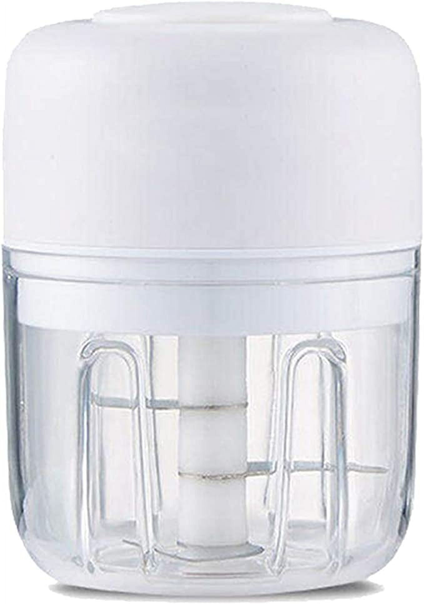 Nvzi Garlic Chopper Electric Mini USB Portable, Food Processor, Garlic ...