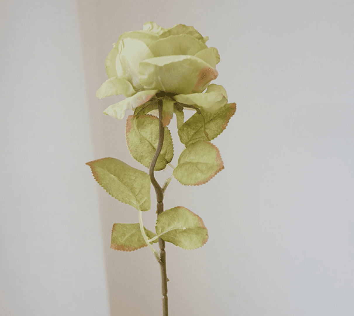 Nvzi -b 6pcs Adhesive Edged Rose Artificial Flowers, Fake flowers ...