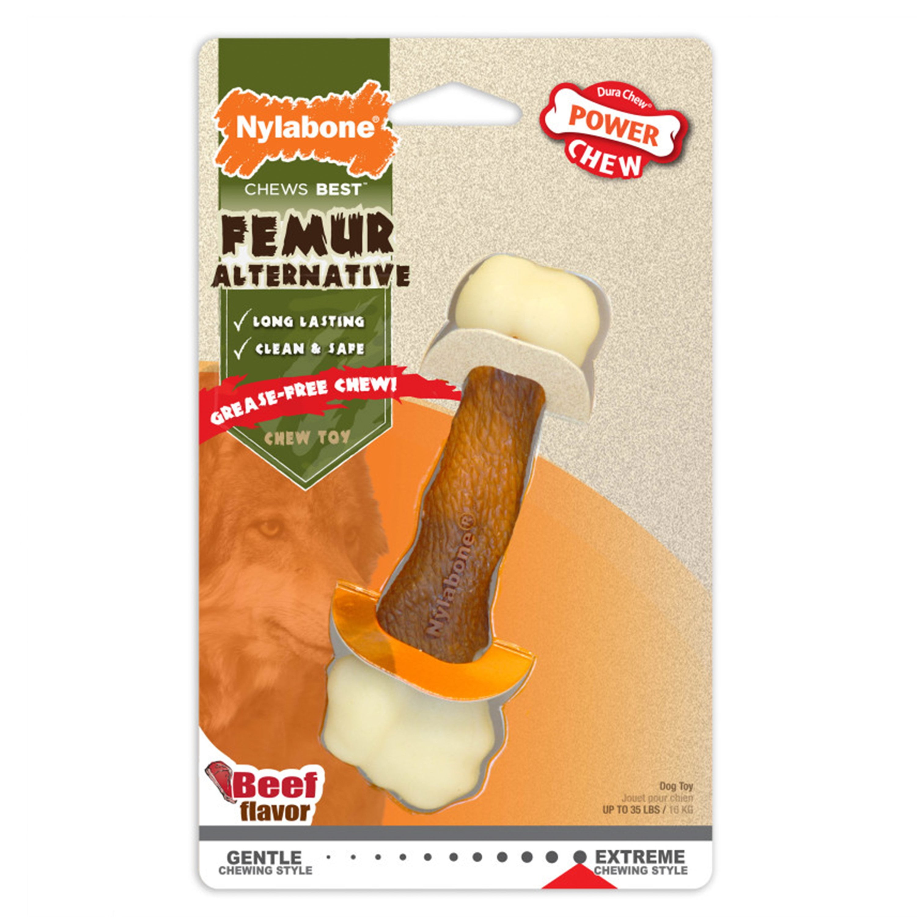 Nylabone Femur Bone for Large Dogs, Long Lasting Nylon Chew Toy for ...