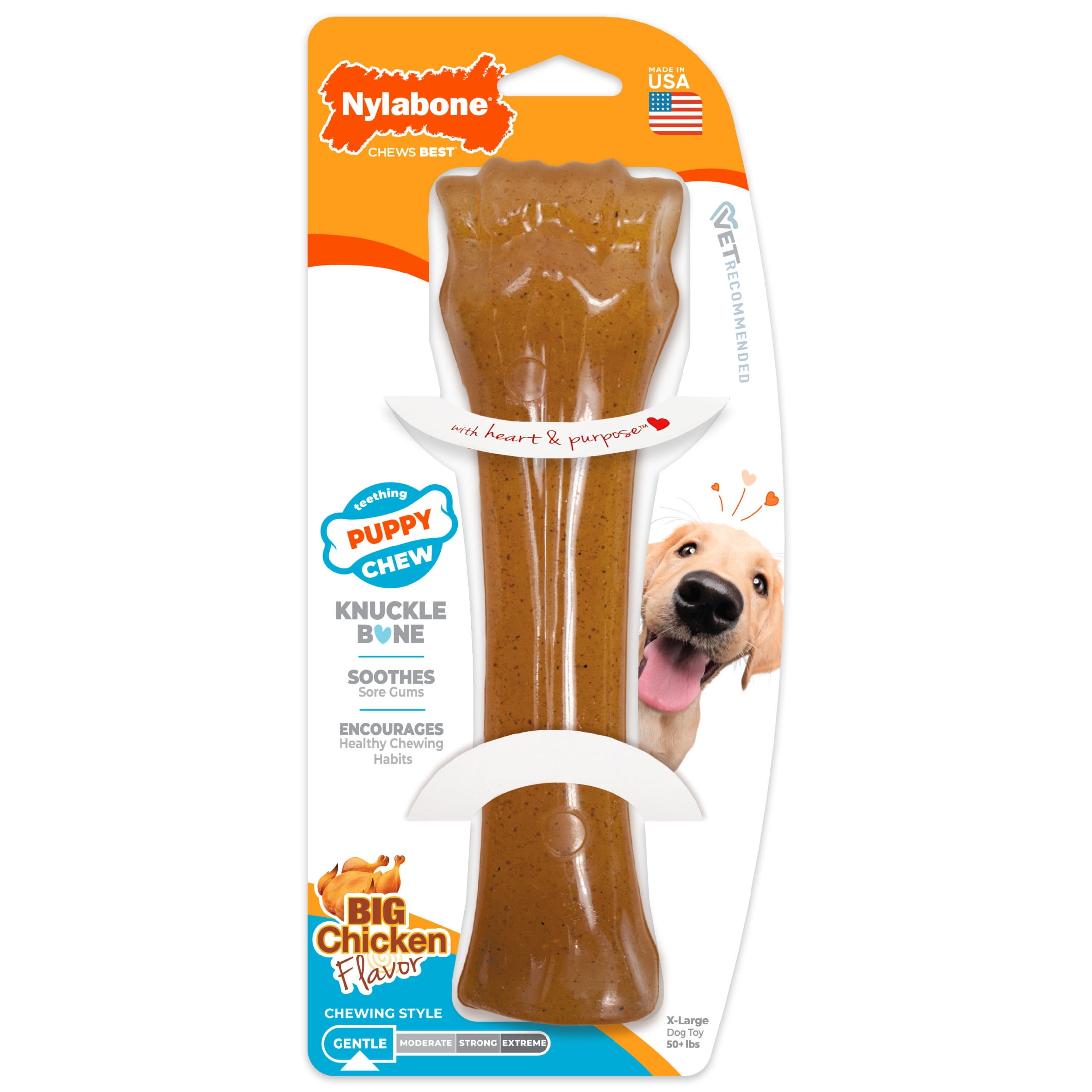 Nylabone Large Breed Puppy Chew Bone, Chicken Flavor, Healthy Teething ...
