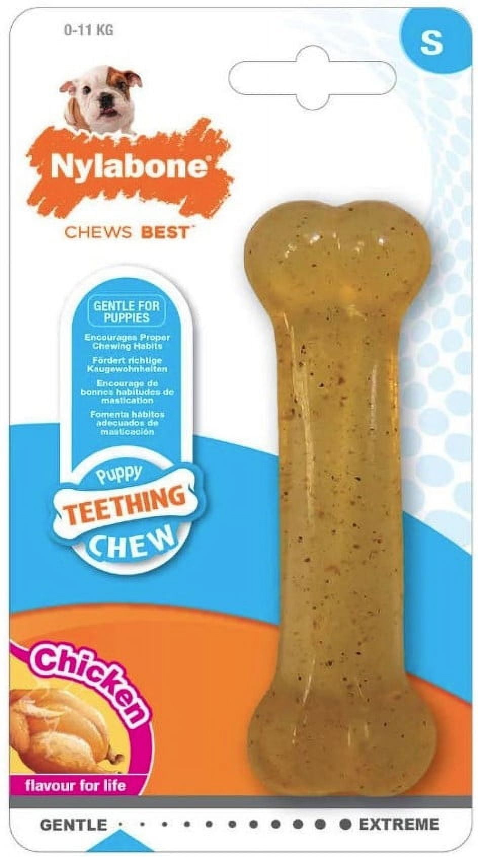 Nylabone Puppy Chew Bone Chicken Flavor Regular - 1 count - Walmart.com