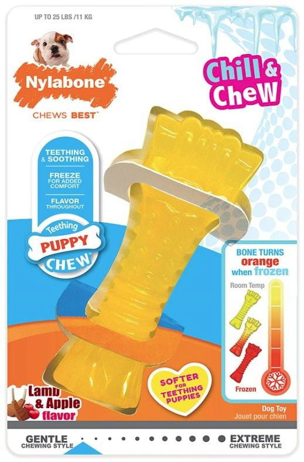 Nylabone Puppy Chew Color Changing Chill N Chew Bone - Mini Souper [Dog ...