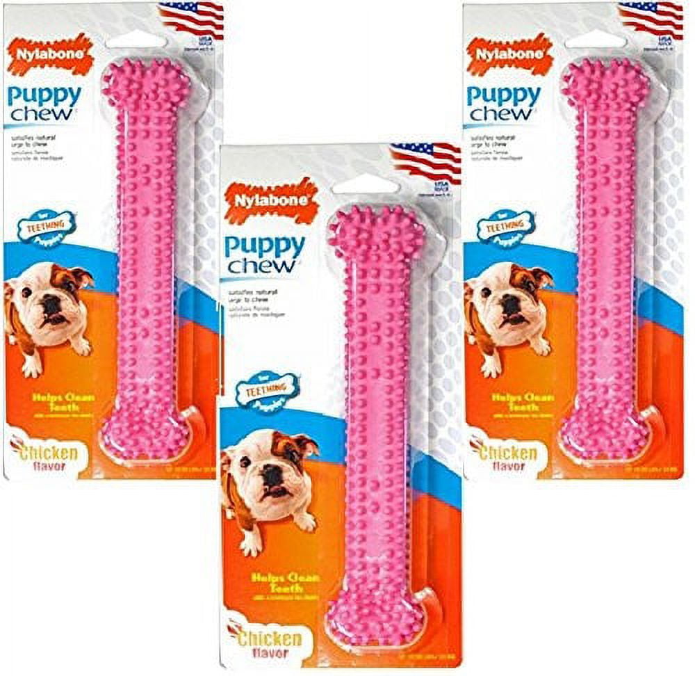 Nylabone Puppy Dental Chew Giant Pink - Walmart.com