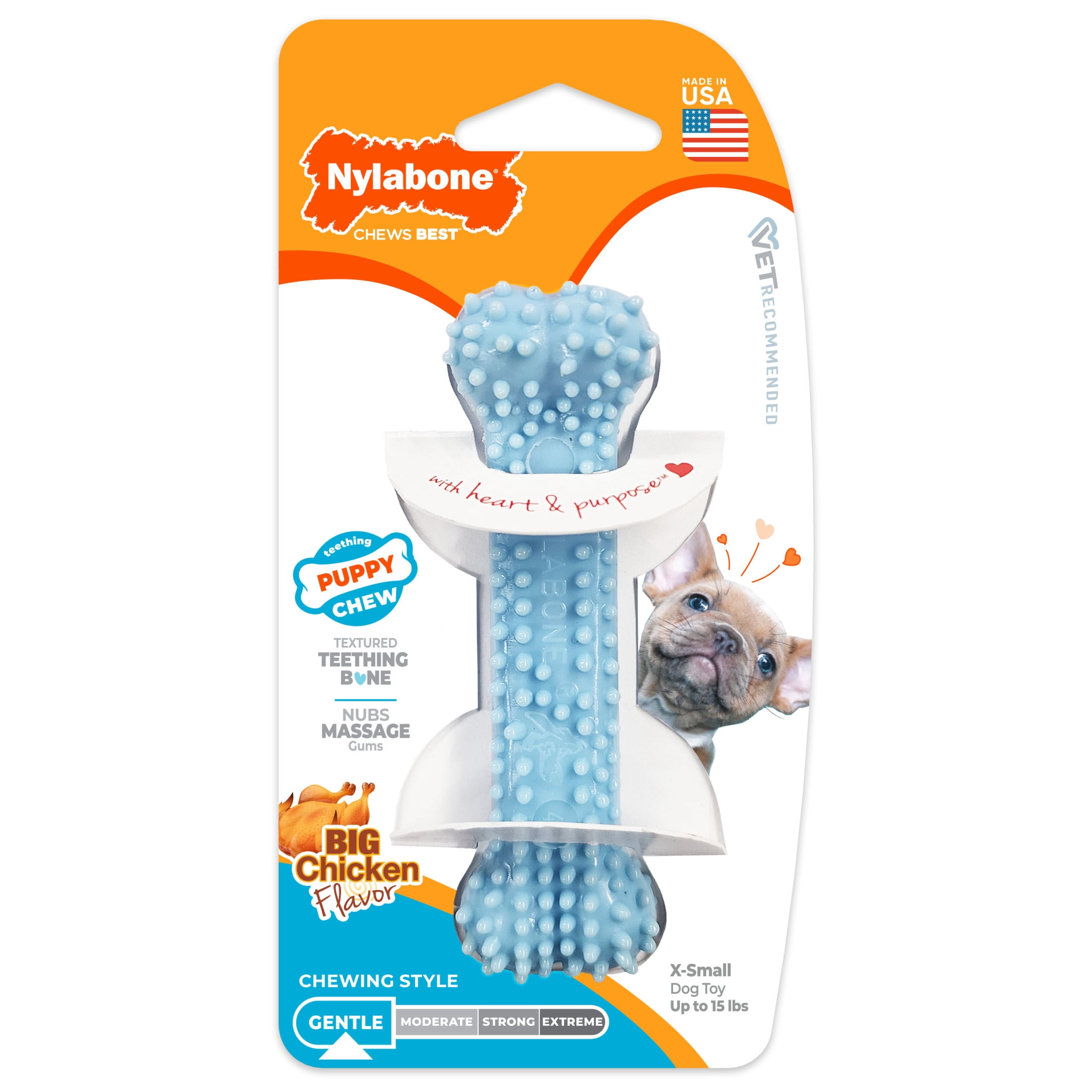 Nylabone Puppy Chew Textured Teething Bone Dog Toy, X-Small, Chicken ...