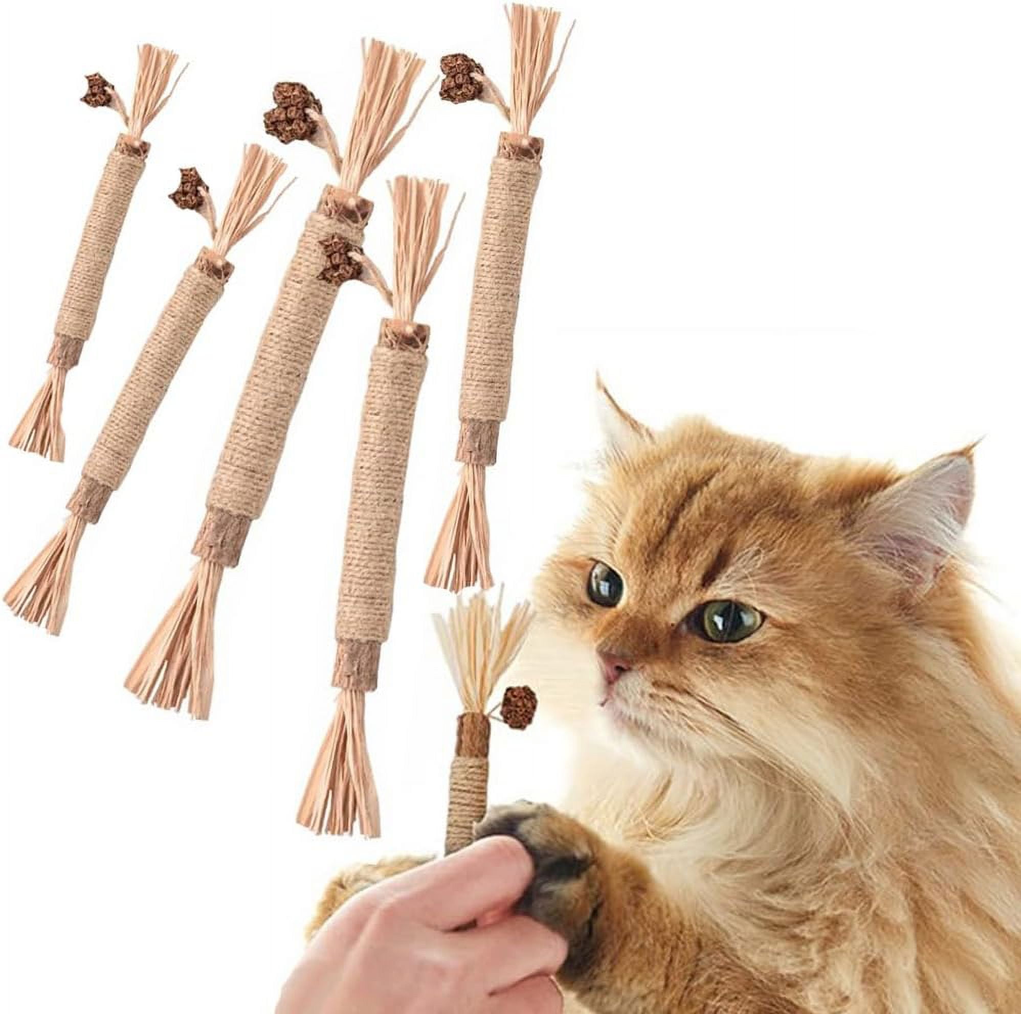 Nylatails Silvervine Dental Stick - Silvervine Sticks for Cats ...
