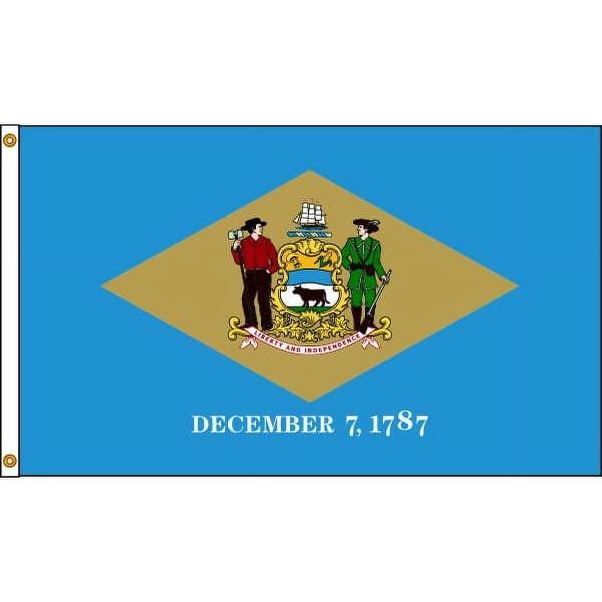 Annin Flagmakers Delaware Flag,4x6 Ft,Nylon 140870 - Walmart Business ...