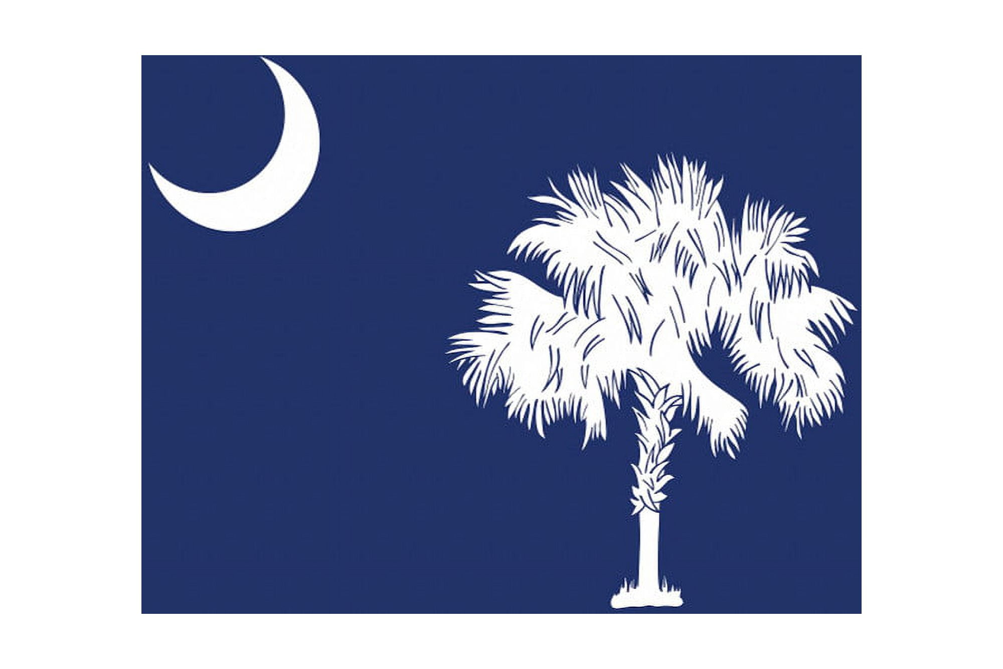 Nylglo South Carolina State Flag,3x5 Ft 2062 2062 ZO-G7425241 - Walmart.com