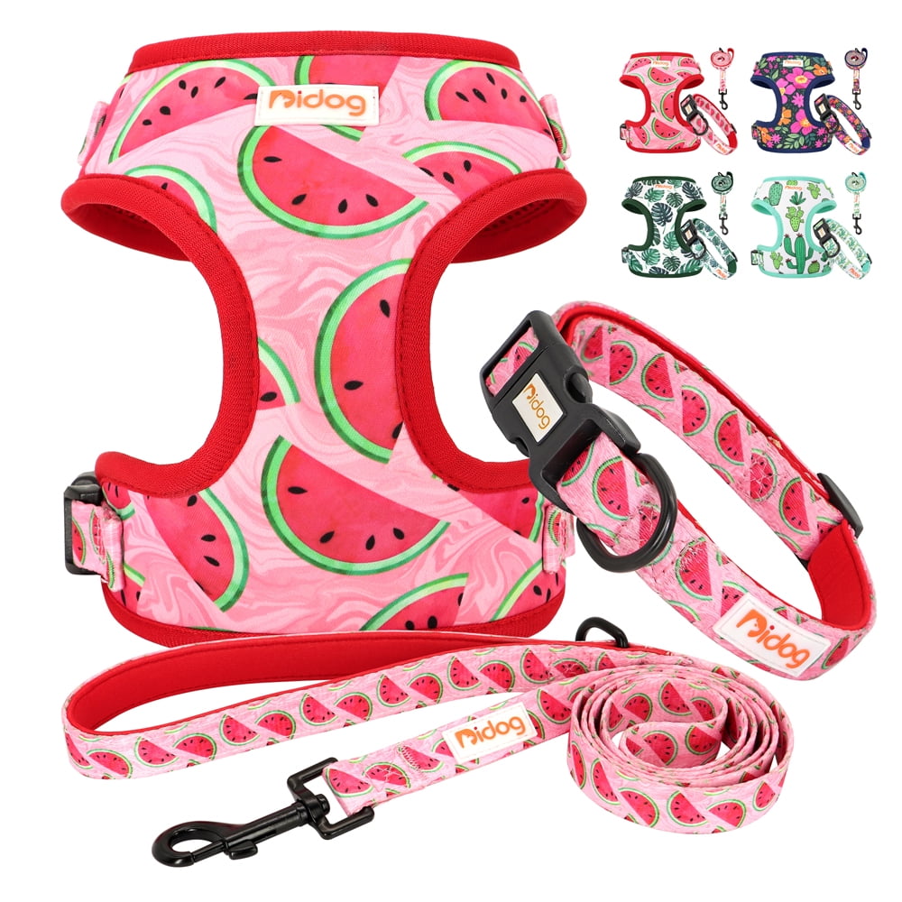 Nylon Adjustable Dog Collar Harness Leash Set Soft Mesh Puppy Chihuahua ...