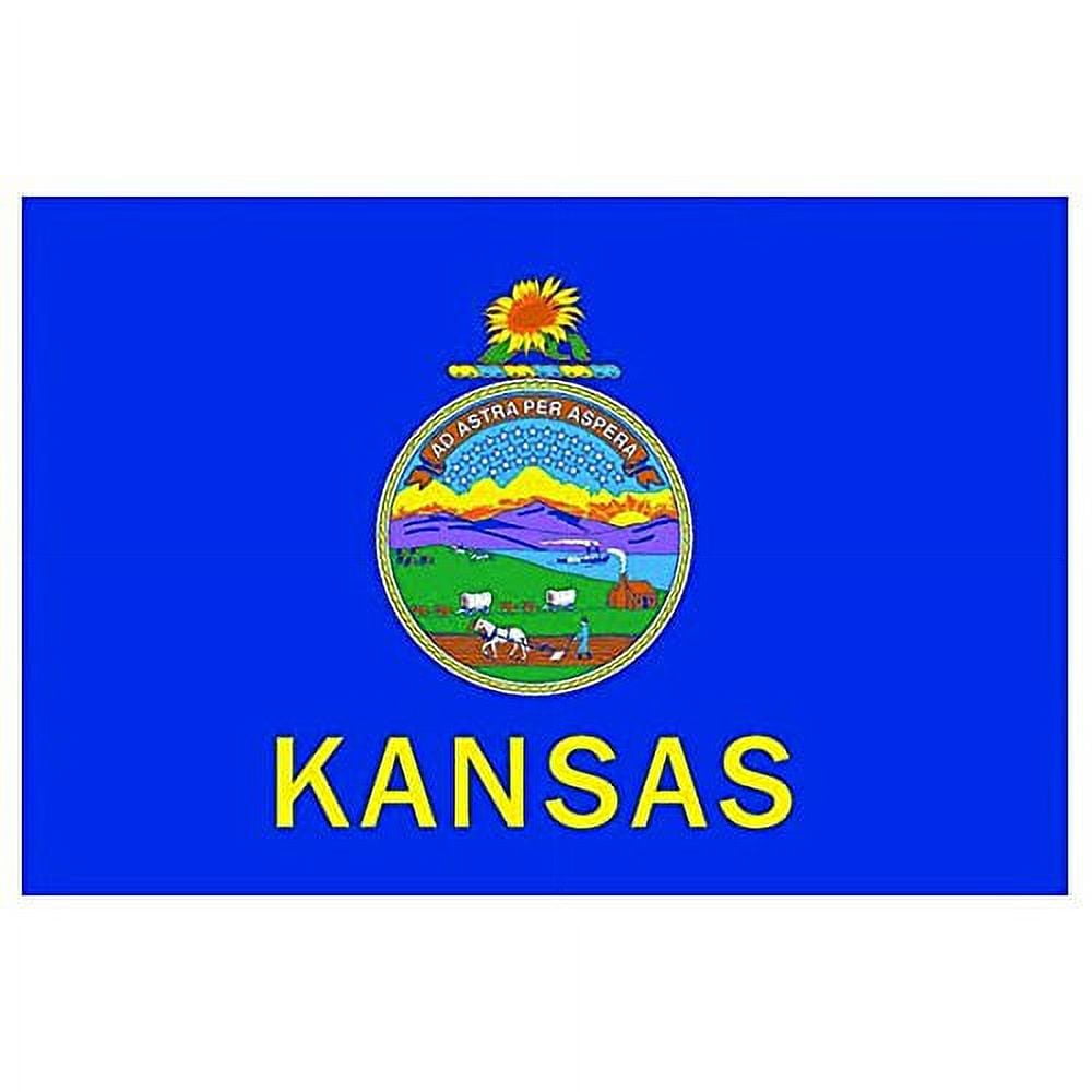 Nylon Kansas State Flag - 6'H x 10'W - Walmart.com