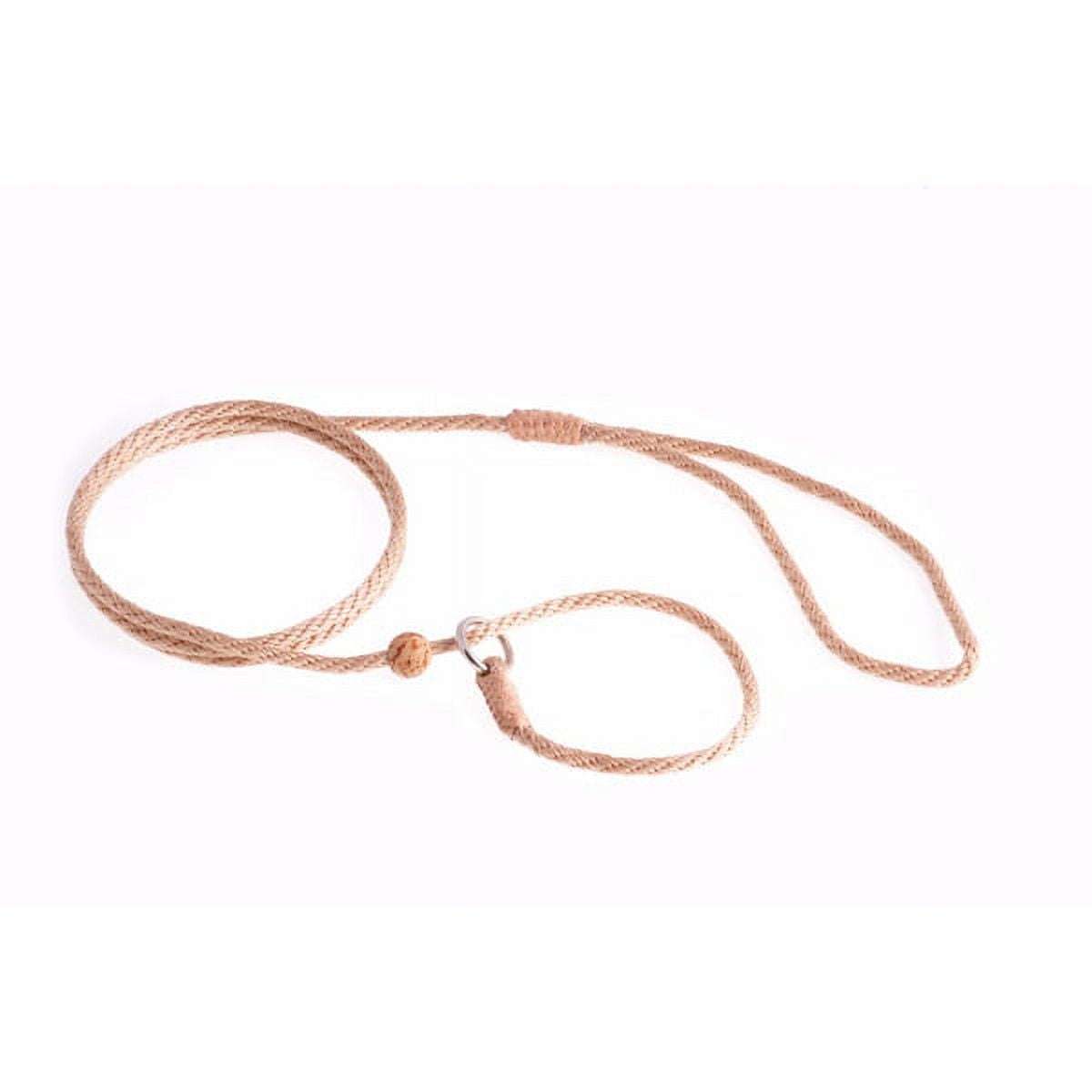 Nylon Slip Lead With Stopper (4 ft x 1/8in or 4mm) - Walmart.com