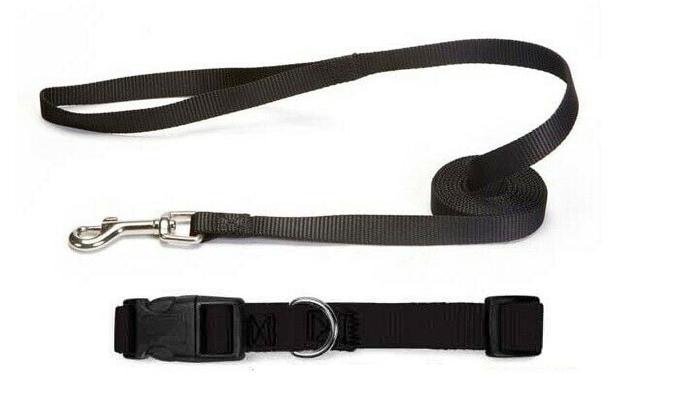 Nylon Solid Color Dog Collar and Lead 2 Piece Sets Durable Adjustable ...