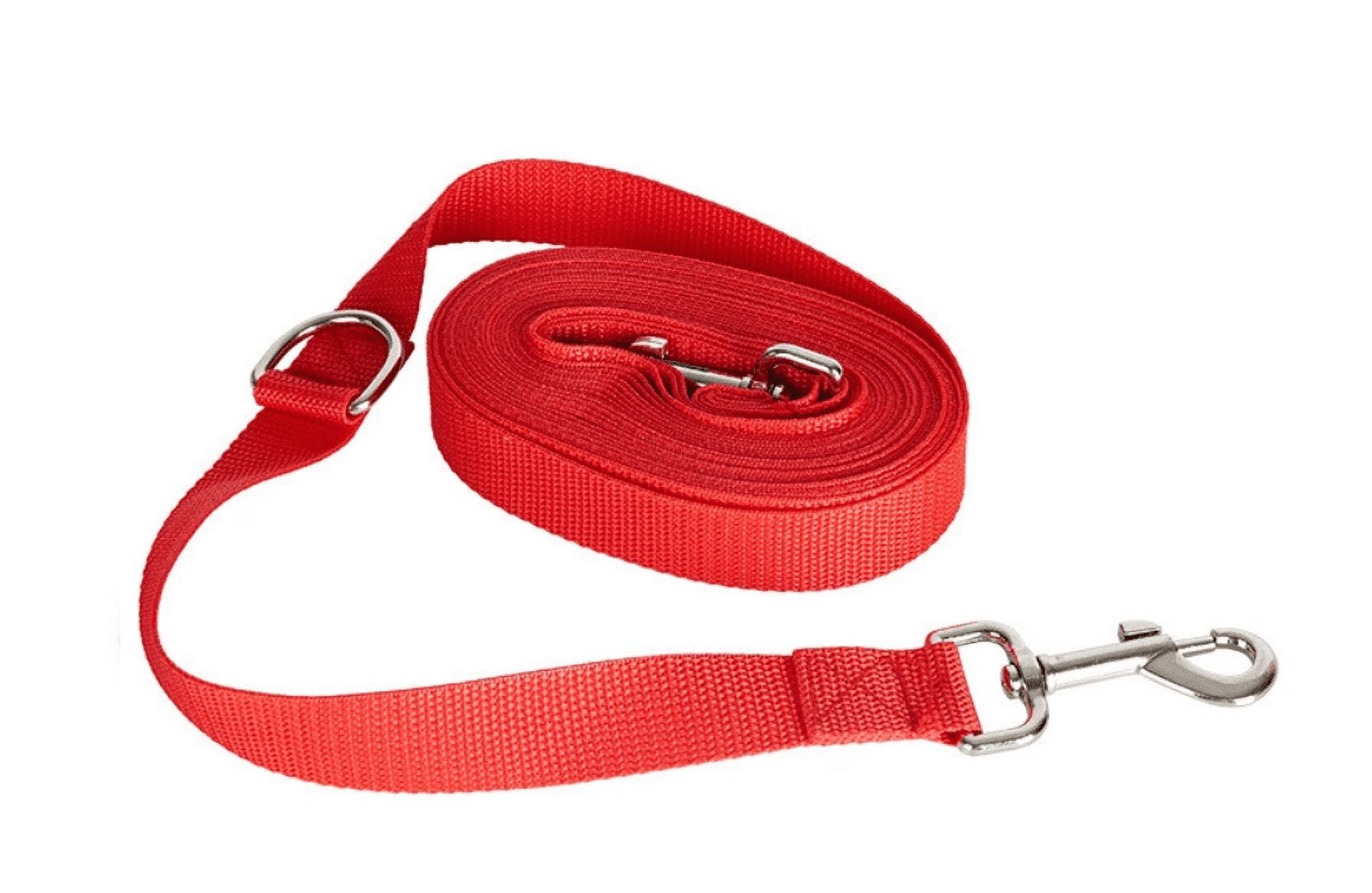 Nylon Training Dog Leash For Small Medium Large Dogs, 10Ft 15Ft 20Ft ...