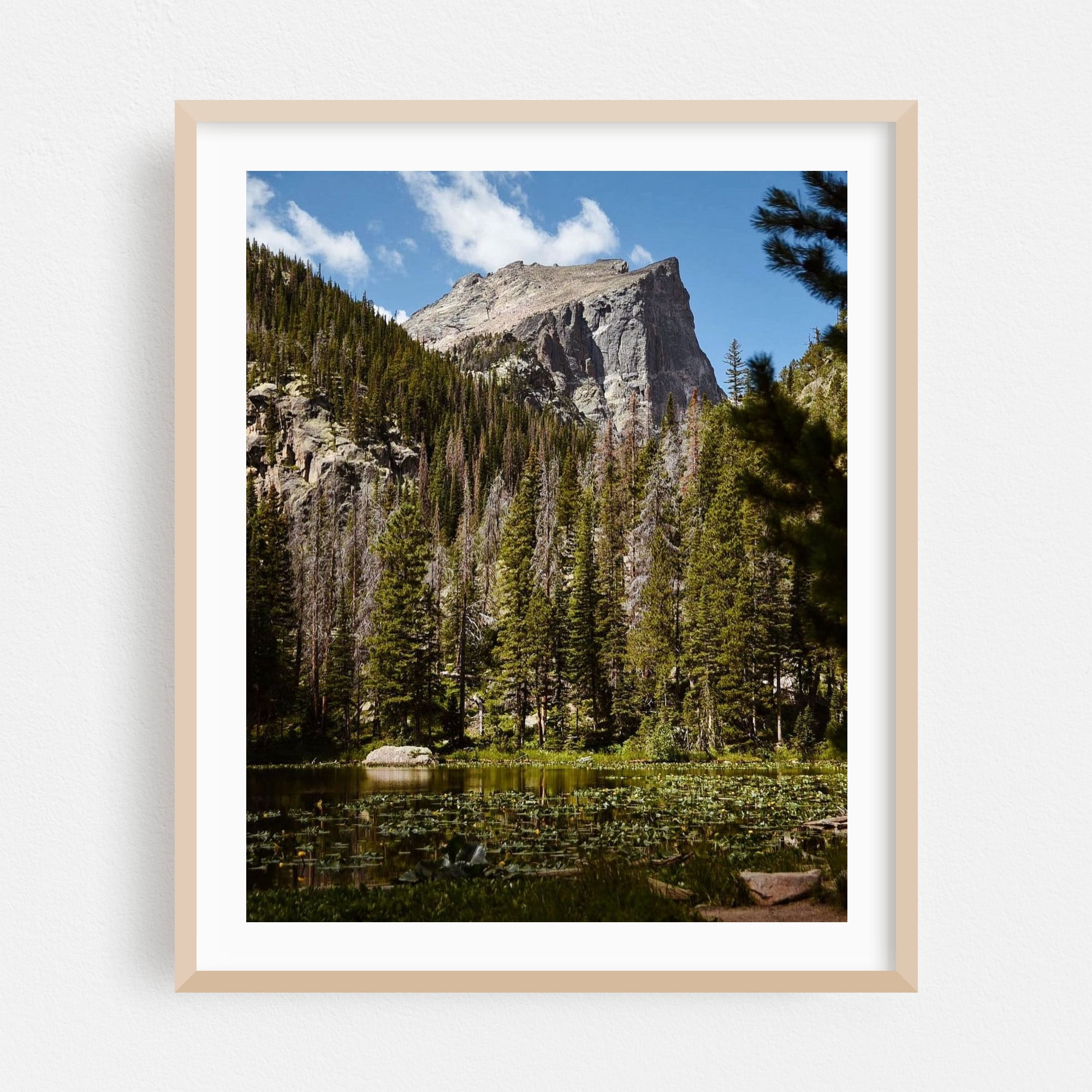 Nymph Lake - Colorado Photography Mountain Landscape Forest Nature Scenic Wilderness Woodland ...
