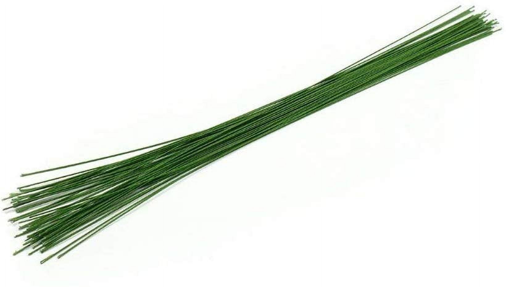 O'Creme 28 Gauge Dark Green Florist/Floral Wire 14 Inch, 50 Pieces ...