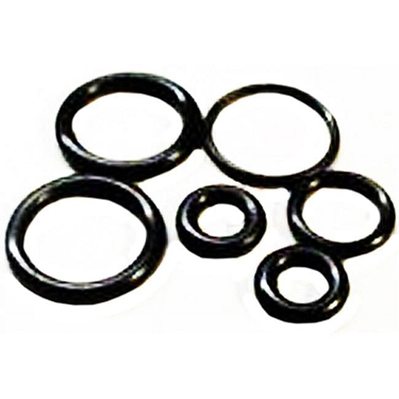 O-Ring Small Assortment - Walmart.com