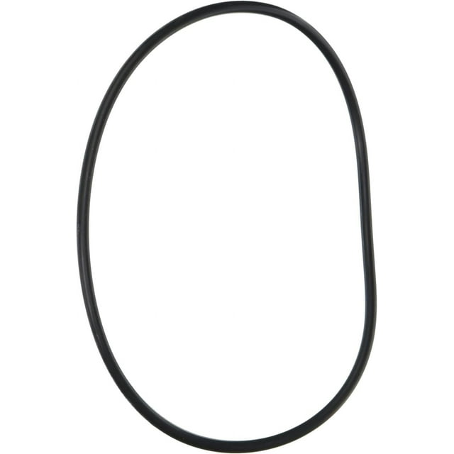 O-Ring for Water Filter - Walmart.com