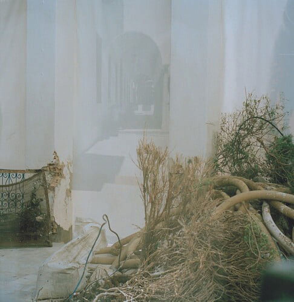 O Yama O - Galo - Music & Performance - Vinyl - Walmart.com