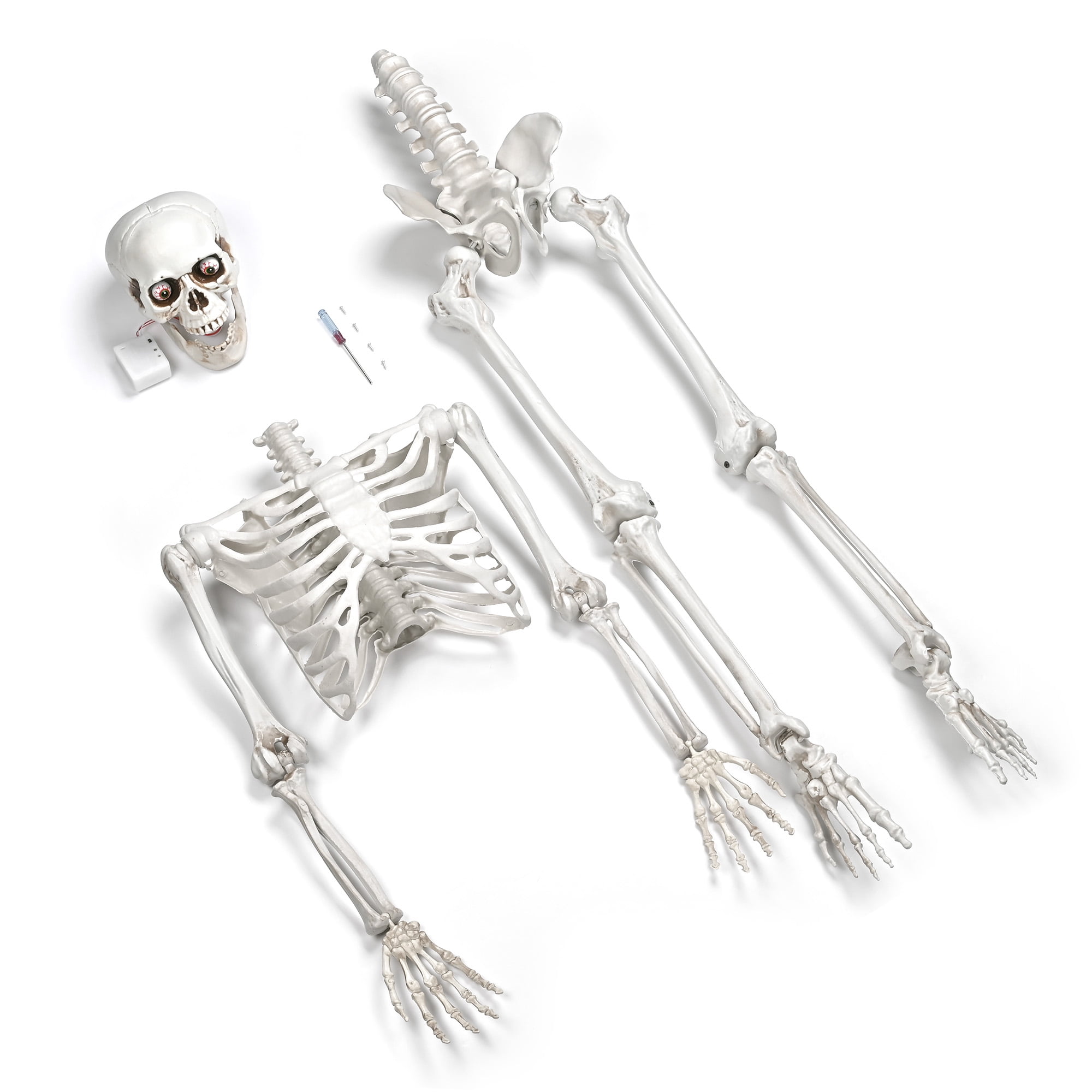 O'force Halloween Decoration Skeleton, Life Size Posable Skeleton with ...