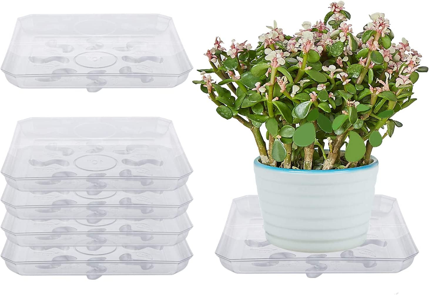 OAKBAY Indoor Planter Pot Plates - 5 Pieces of 10 Inch Square Clear ...