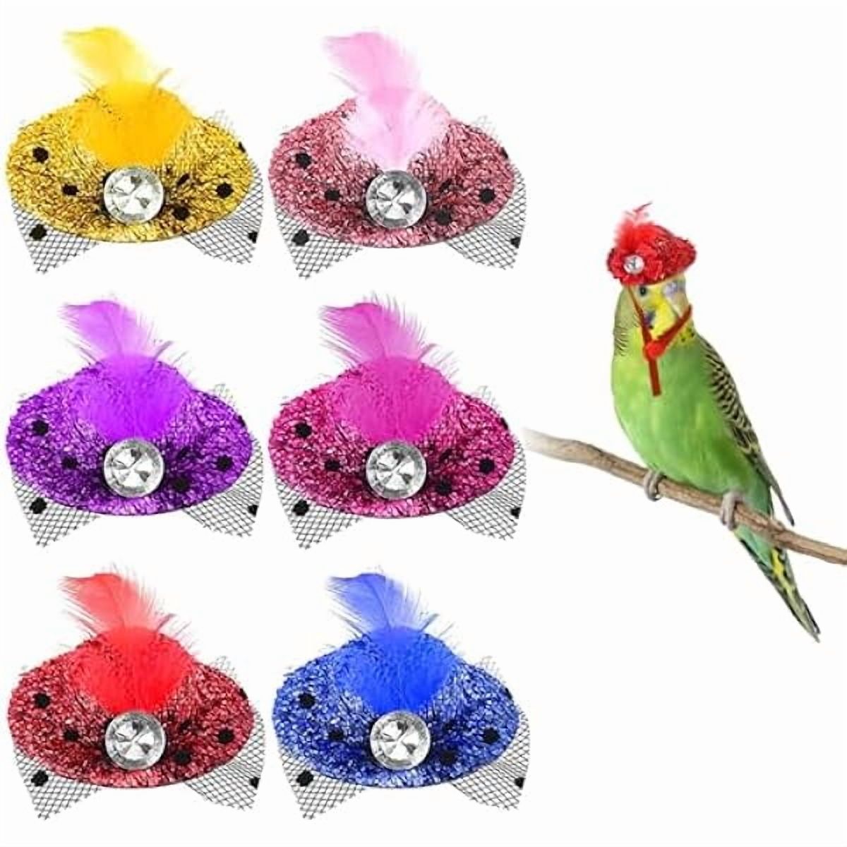 OAO Parrot Hat Halloween Costume - Pet Bird Mini Helmet Topper Hat with ...
