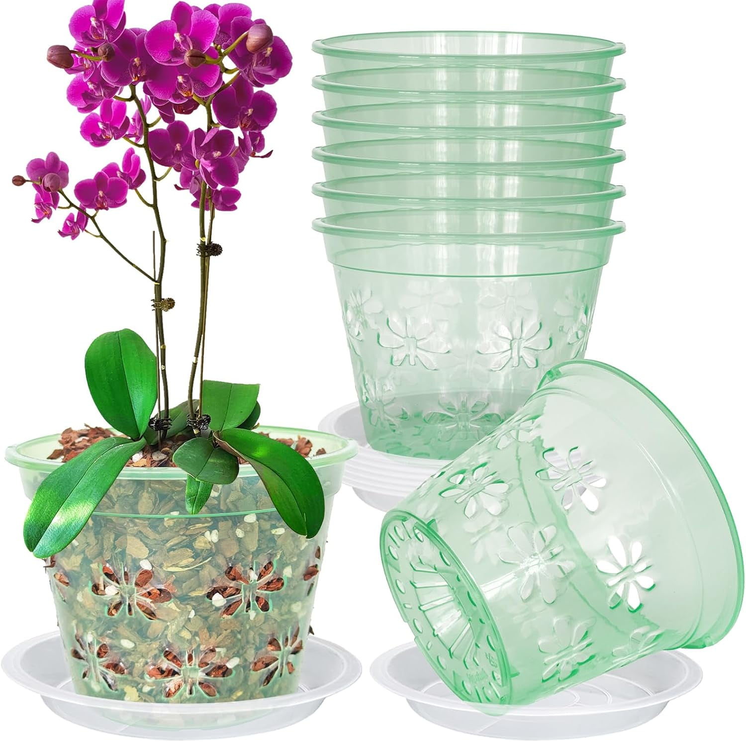 OAS Orchid Pot, 8 Pack Orchid Pots with Holes & Saucers, Clear Plastic ...
