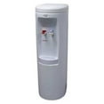 OASIS POUD1SHS Cold, Hot Inline Water Dispenser - White - Walmart.com