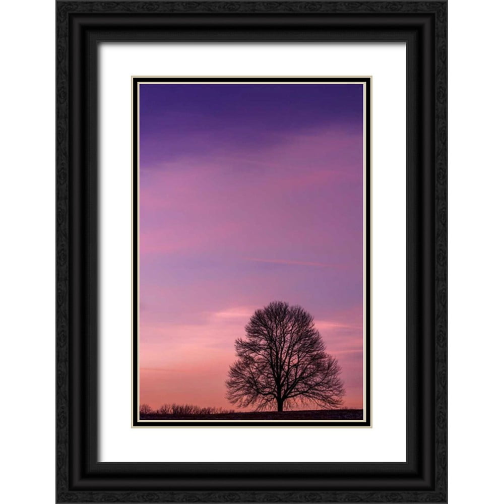 OBrien, Jay 11x14 Black Ornate Wood Framed with Double Matting Museum ...