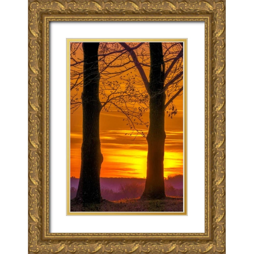OBrien, Jay 11x14 Gold Ornate Wood Framed with Double Matting Museum ...