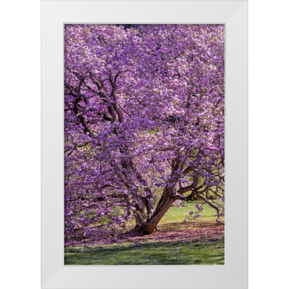 OBrien, Jay 11x14 White Modern Wood Framed Museum Art Print Titled ...