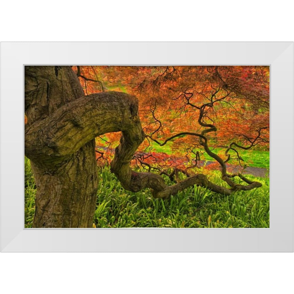 OBrien, Jay 14x11 White Modern Wood Framed Museum Art Print Titled ...