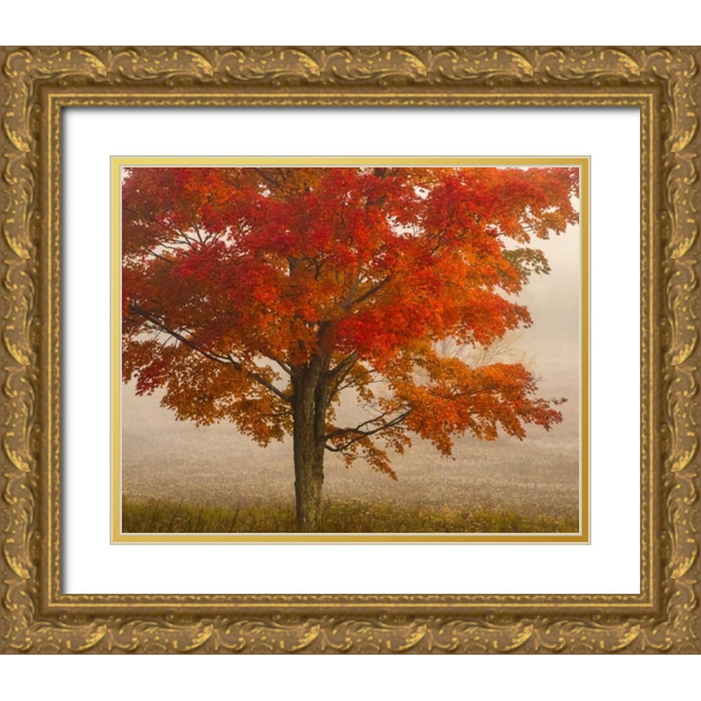 OBrien, Jay 14x12 Gold Ornate Wood Framed with Double Matting Museum ...