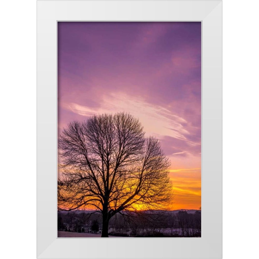 OBrien, Jay 17x24 White Modern Wood Framed Museum Art Print Titled ...