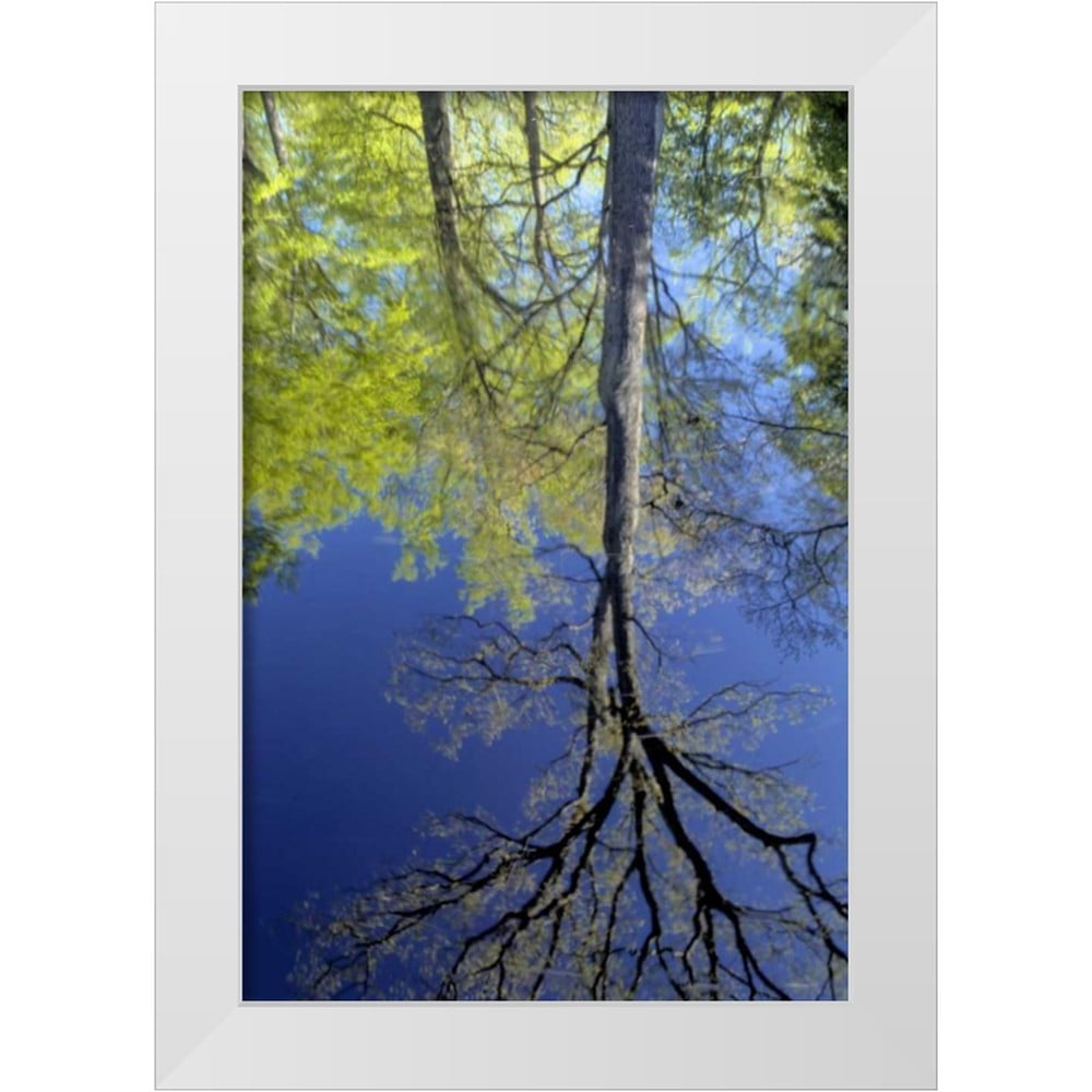 OBrien, Jay 17x24 White Modern Wood Framed Museum Art Print Titled ...