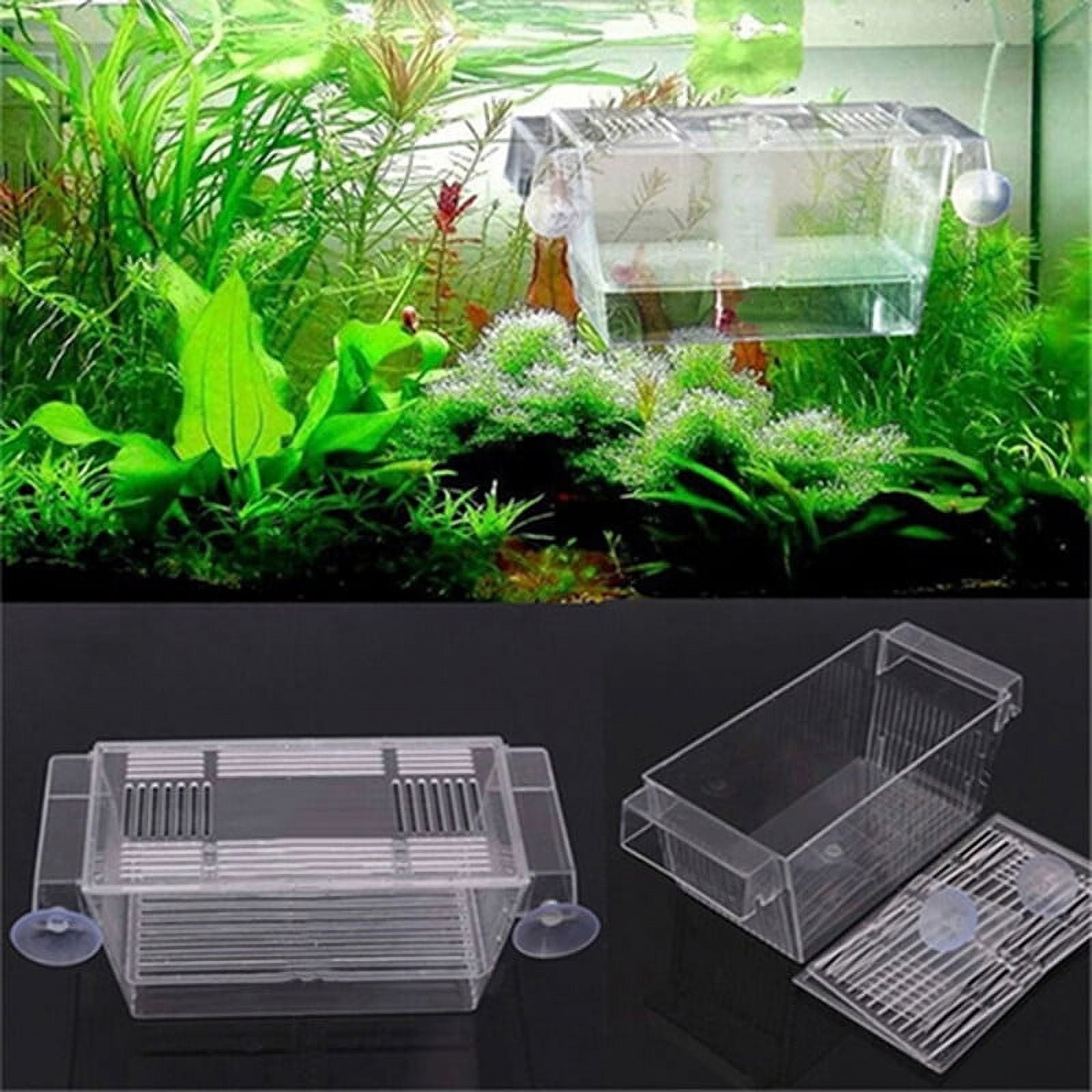 OCUhome Fish Breeding Box,Aquarium Fish Tank Guppy Double Breeding ...