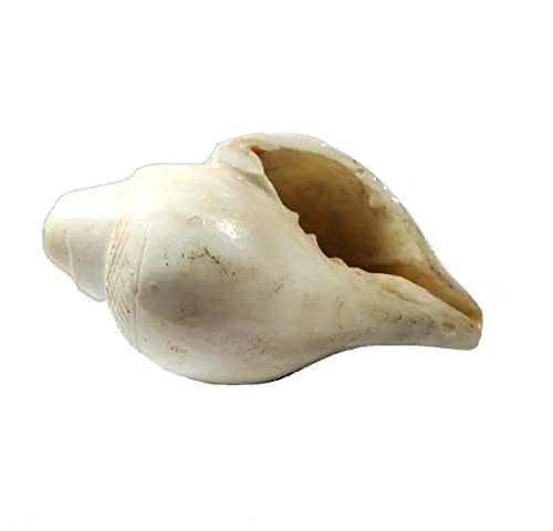 ODESSIKA Loud and Large for Divine Worship and Pooja on Auspicious ...