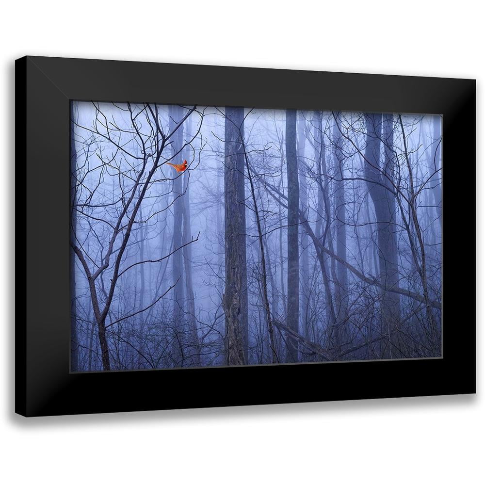 ODell, Dale 14x11 Black Modern Framed Museum Art Print Titled - Red Cardinal in a Blue Forest ...