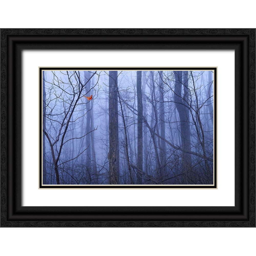 ODell, Dale 24x17 Black Ornate Wood Framed with Double Matting Museum ...
