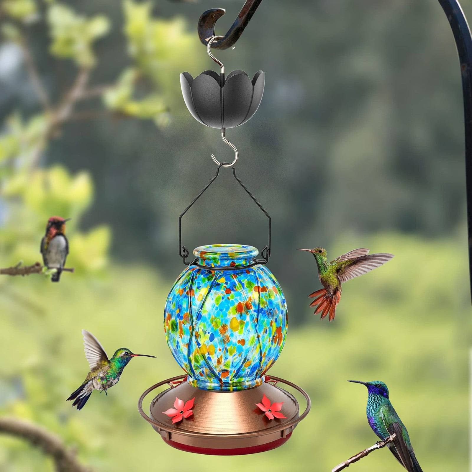 OEFNTAC Ant Moat For Hummingbird Feeders Vintage Style Hummingbird ...