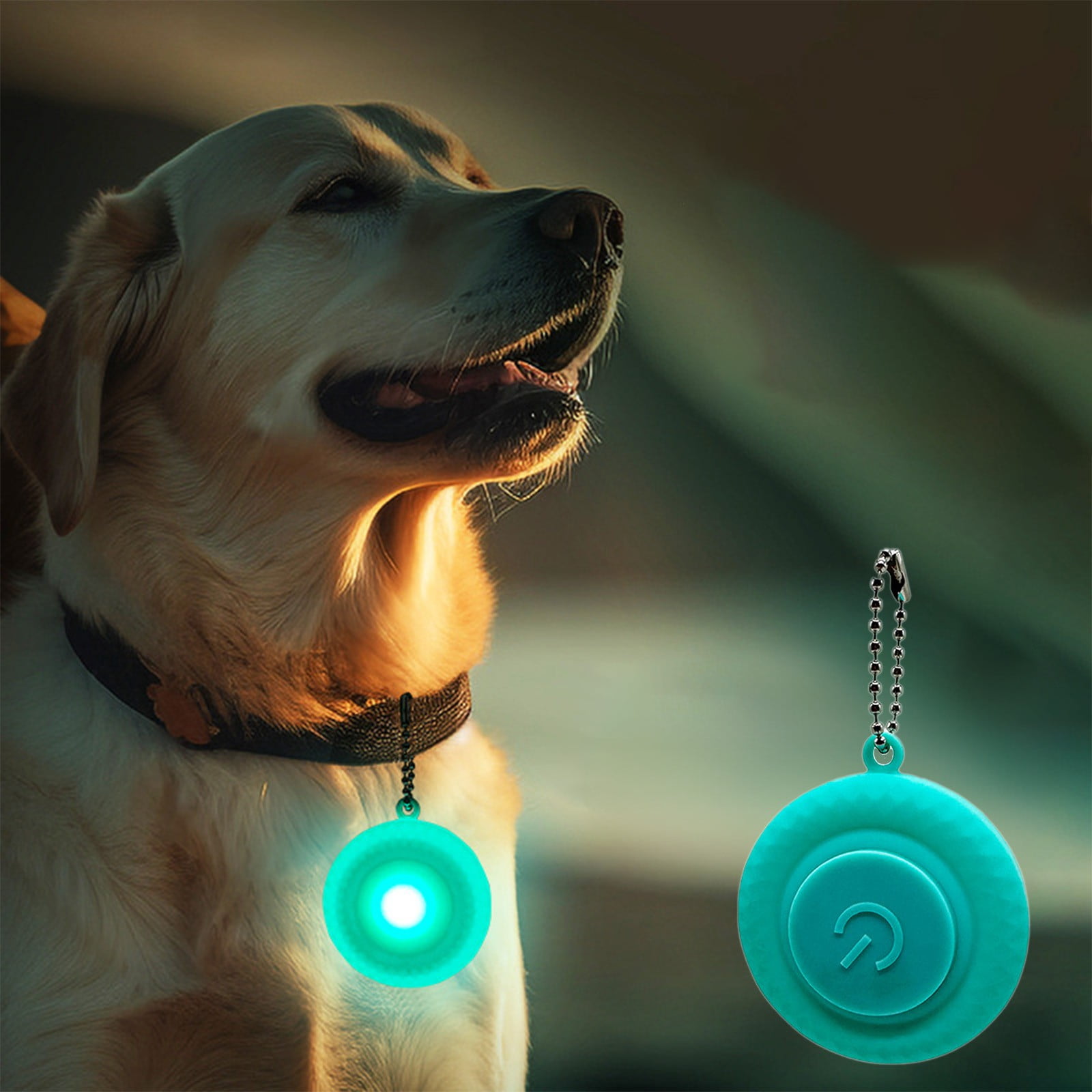 OEFNTAC Toys LED Pet Collar Light With Tire Shape Soft Material For ...