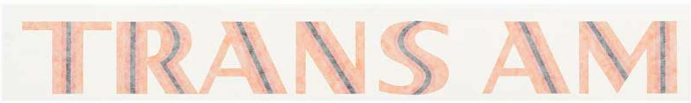 OER Rear Orange "Trans AM" Spoiler Decal 1973-1975 Pontiac Firebird ...