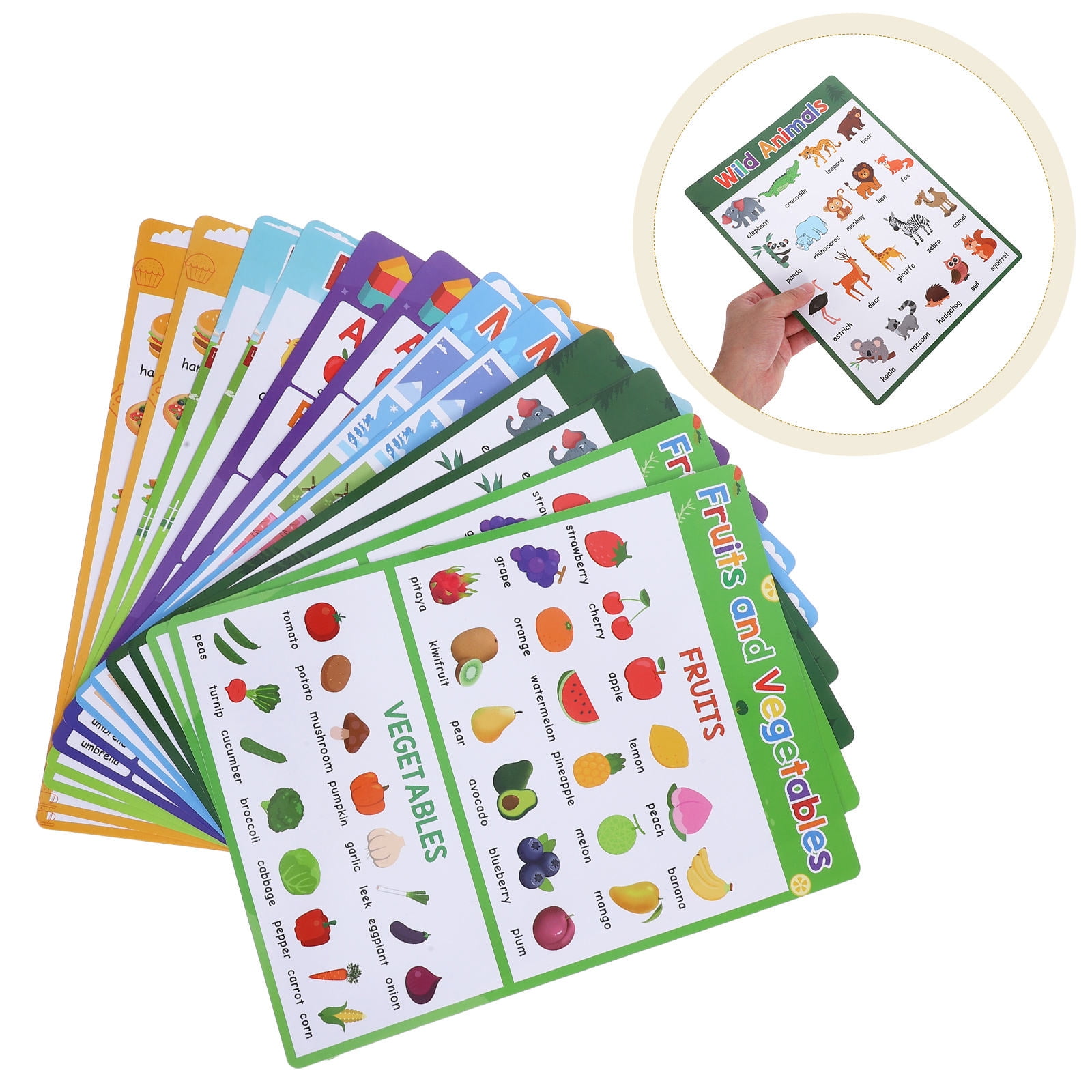 OFFIGAM 12pcs Assorted Color Fruit Posters for Educators and Preschool ...