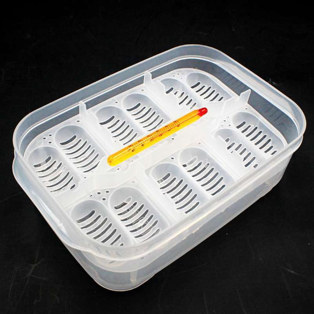 OFFIGAM 1Set Plastic Reptiles Egg Incubator Tray with Assorted Color ...