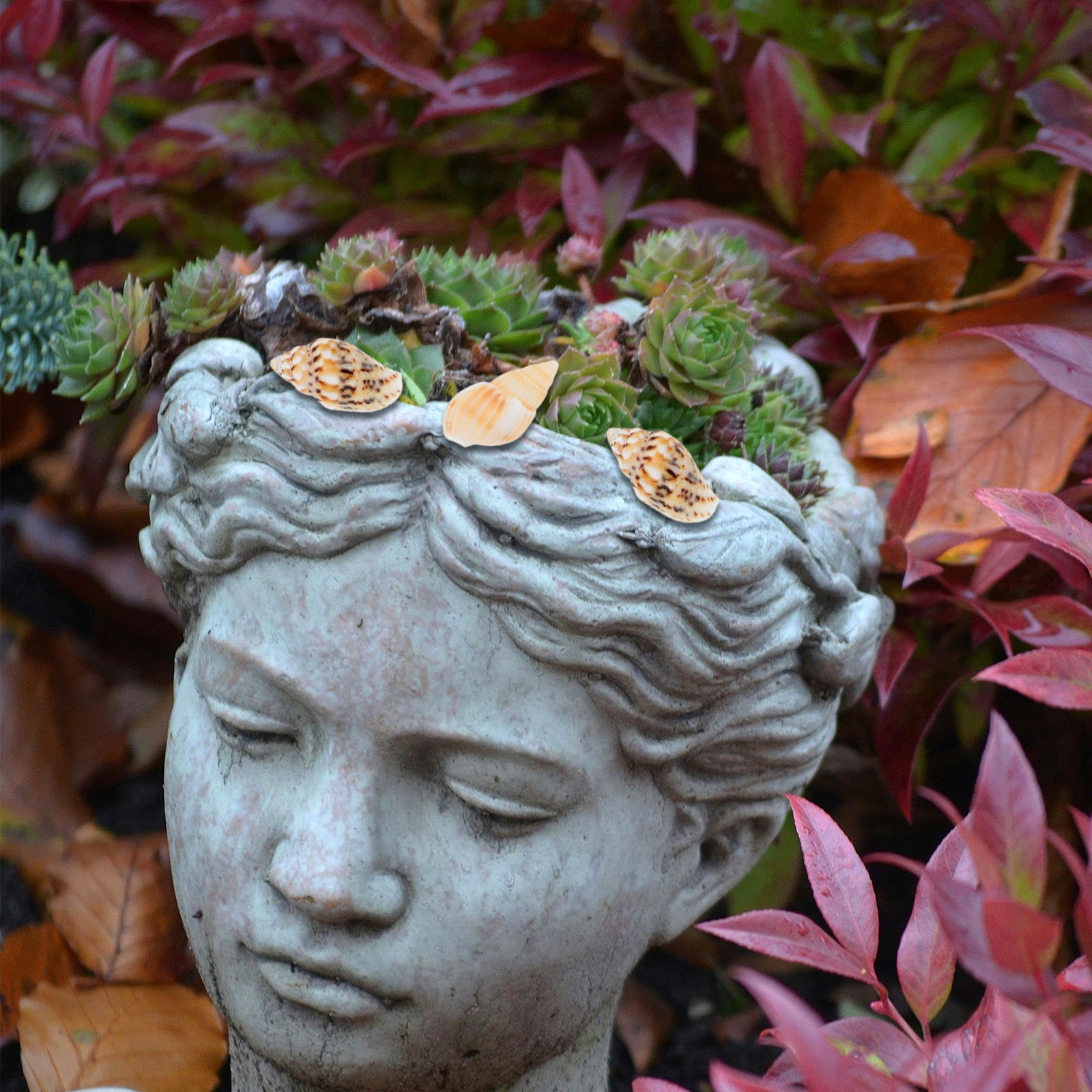 OFFIGAM 50Pack Shell Shaped Miniature Beach Props PVC Seashells for ...